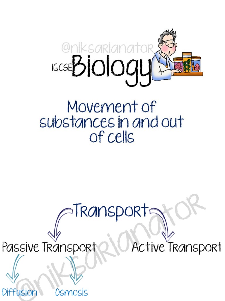 IGCSE Biology - Movement of Substances in and Out of Cells | PDF