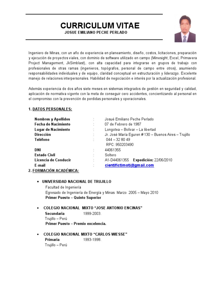 Curriculum Vitae - Documentado | PDF | Informática | Informática y tecnología de la información