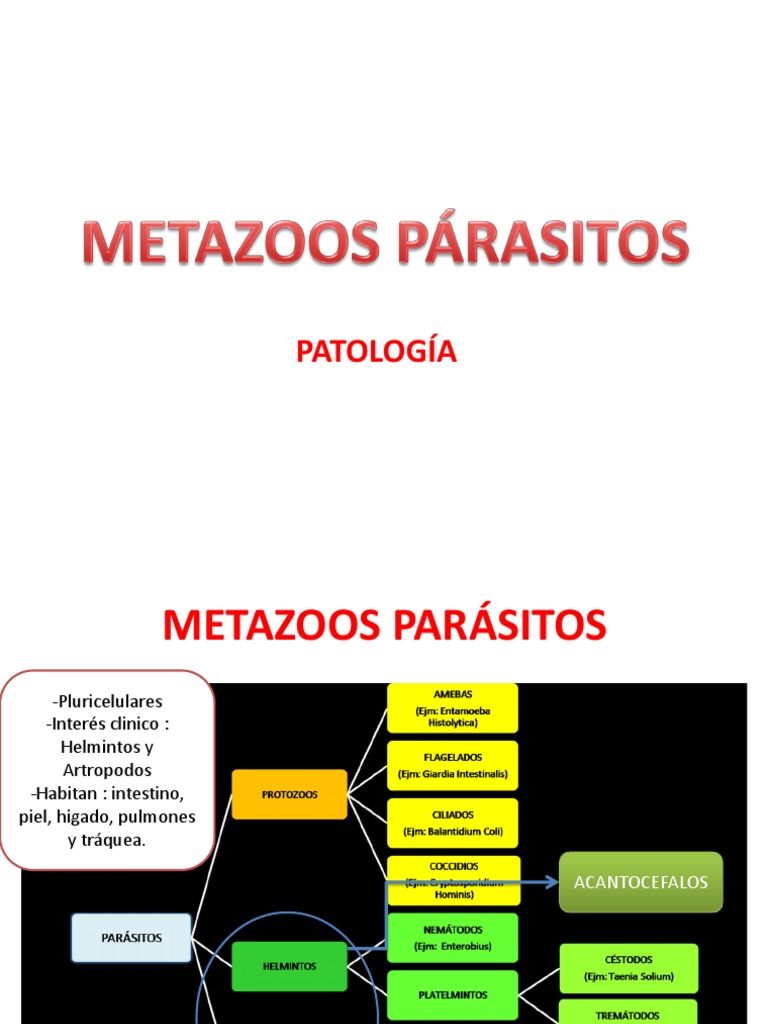 METAZOOS PÁRASITOS | Inflamación | Salud pública