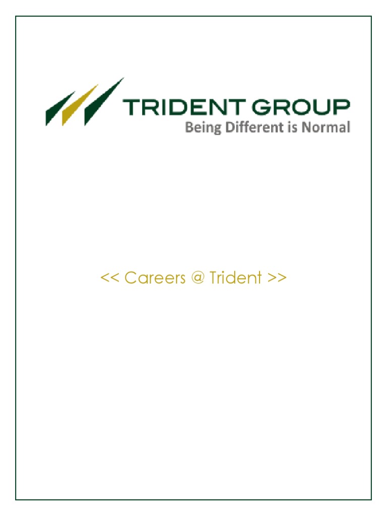 Careers at Trident | PDF