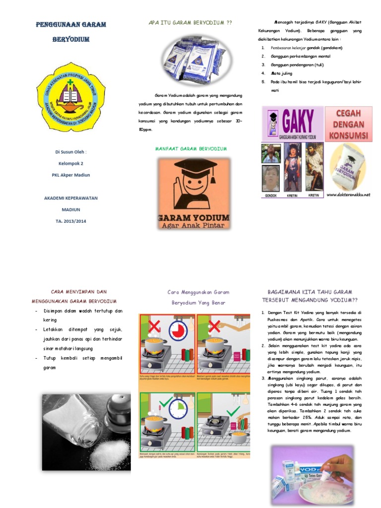 Leaflet Penggunaan Garam | PDF