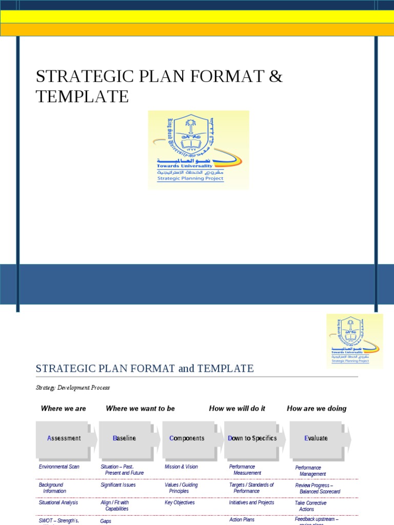 Strategic Plan Template and Guide | PDF | Business