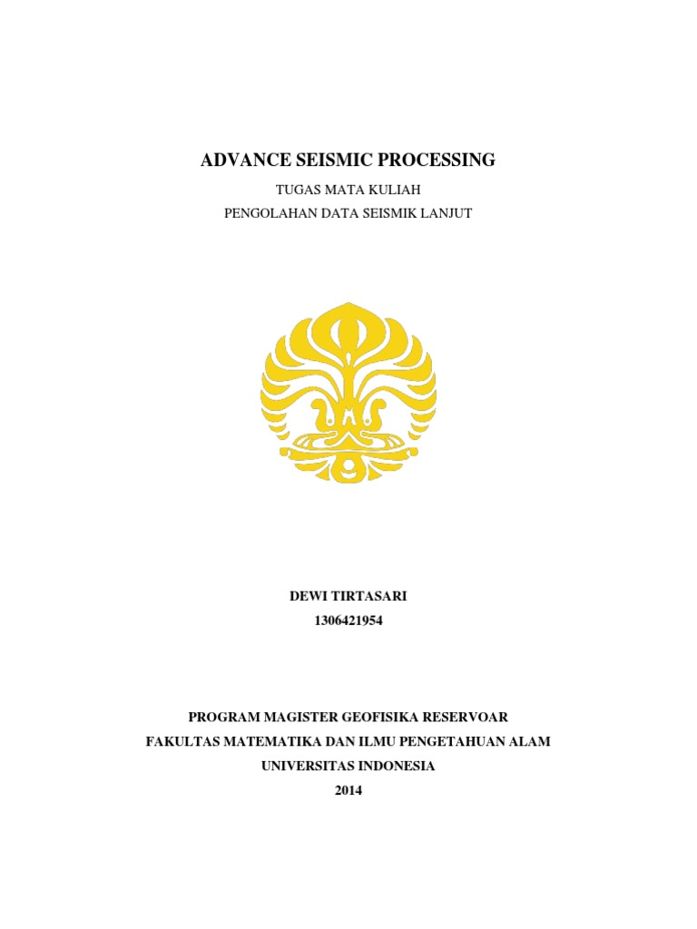 Advance Seismic Processing | PDF