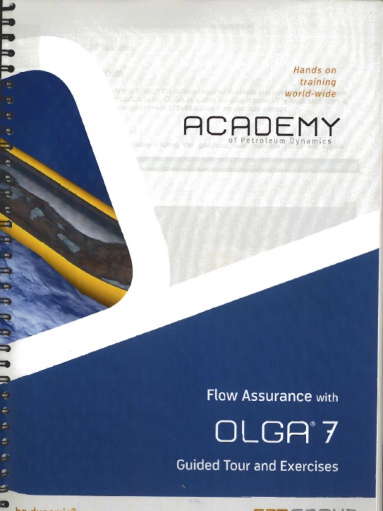 Flow Assurance With Olga 7 | PDF