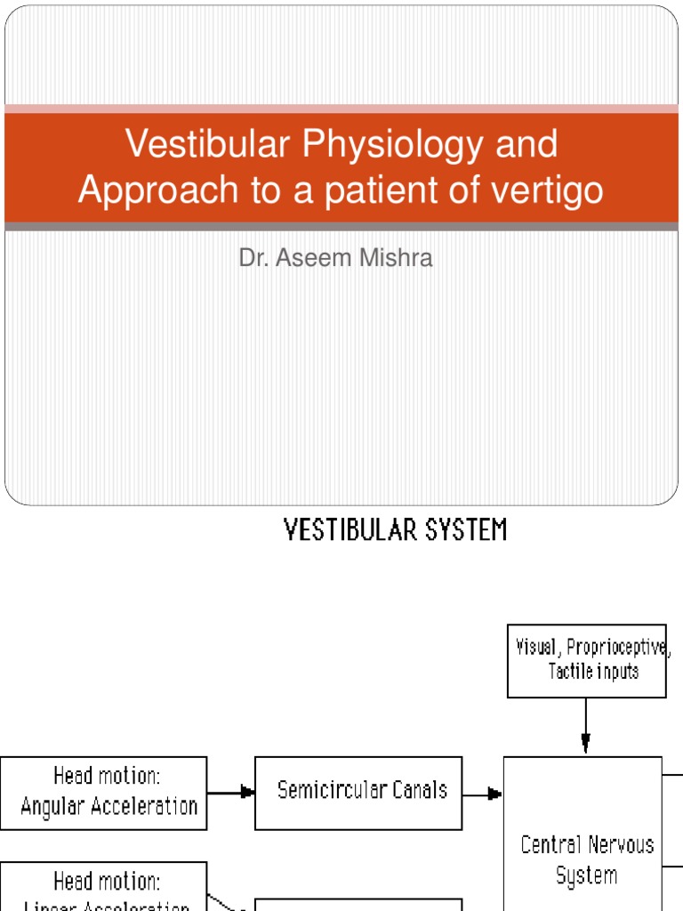 Vertigo Physiology and Clinical Assessment | PDF | Vertigo | Vestibular ...