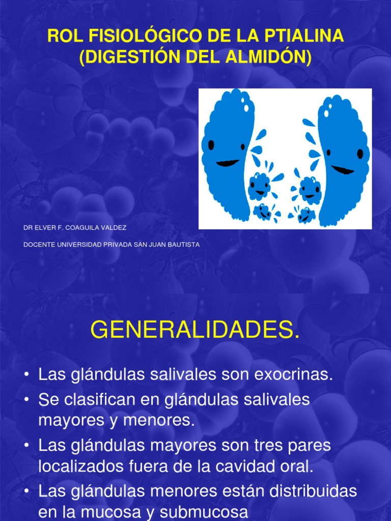 Acciond e La Ptialina | PDF | Digestión | Anatomía