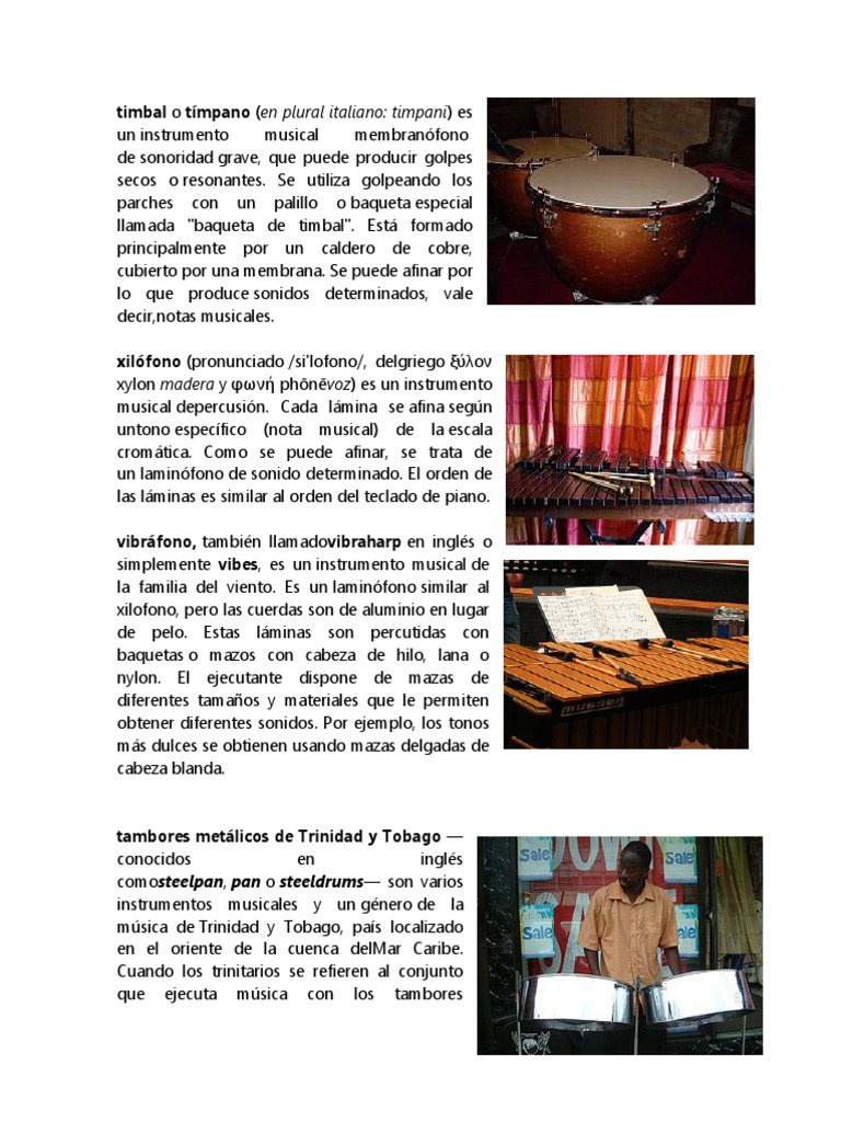 Intrumentos de Percusion | PDF | Instrumentos musicales | Instrumentos ...