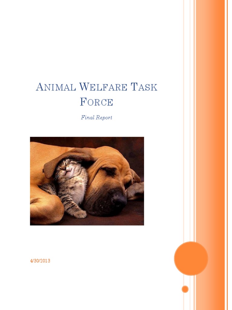 Delaware Animal Welfare Task Force Final Report April 2013 | PDF | Cats | Dogs