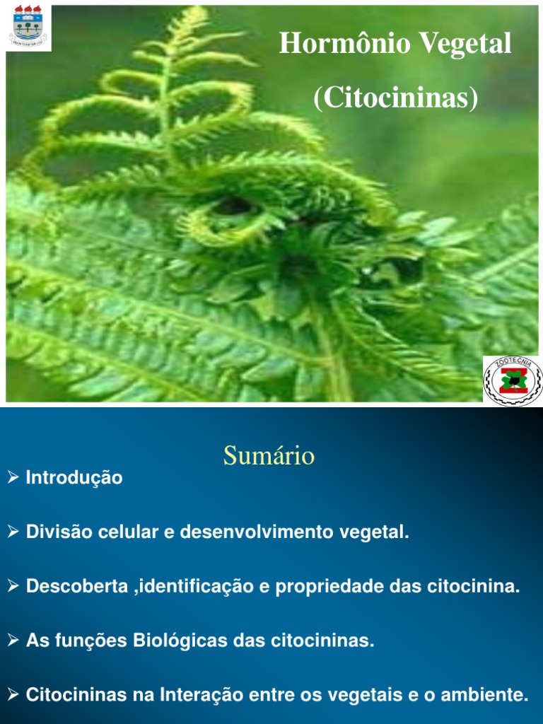 Citocininas Ceminário | PDF | Auxinas | Fisiologia Vegetal