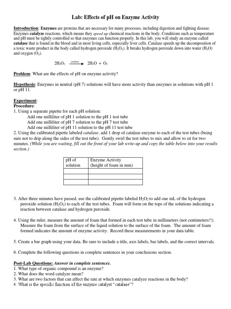 Lab: Effects of PH On Enzyme Activity | PDF | Catalase | Ph
