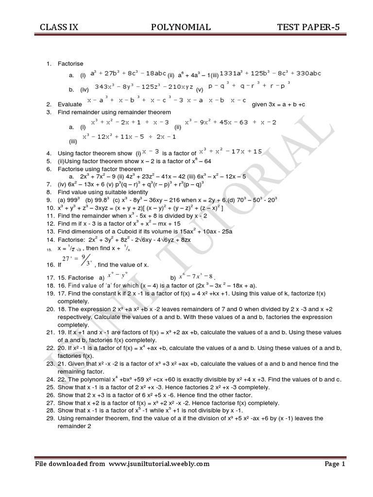 Class 9 Polynomial Test Paper | PDF | Factorization | Abstract Algebra