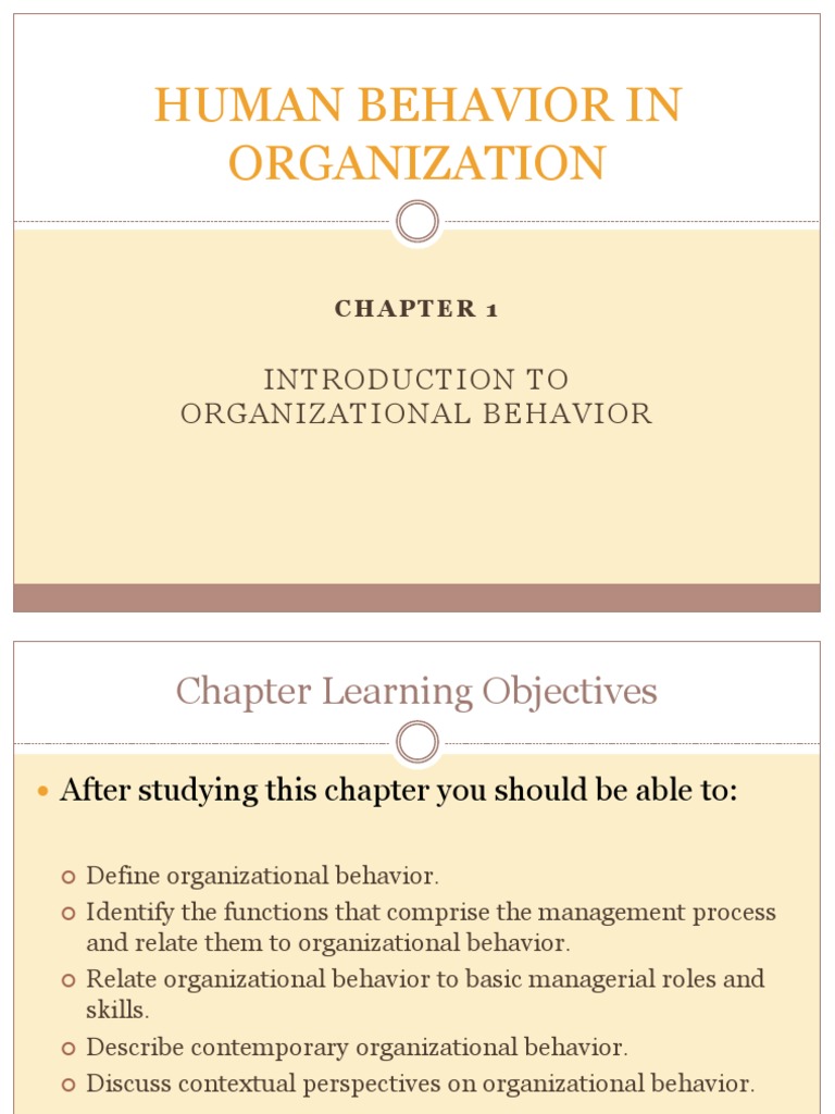 Introduction to Organizational Behavior | PDF | Organizational Behavior ...