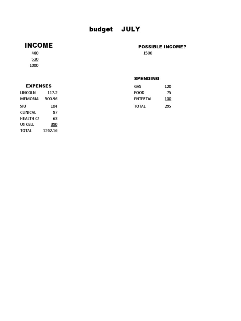July Budget Overview: Income & Expenses | PDF | Wellness | Technology ...
