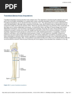 Osteomyoplastic Transtibial Amputation The Ertl.6 | PDF | Amputation ...