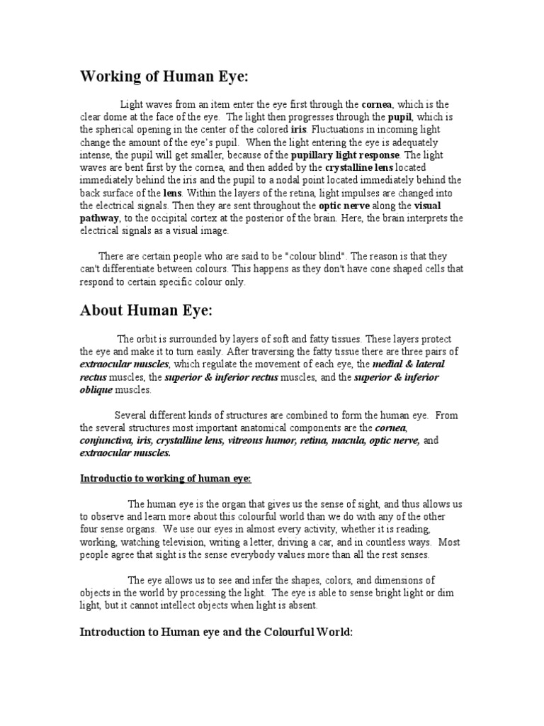 Working of Human Eye | PDF | Human Eye | Retina