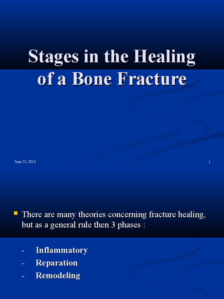 Stages in The Healing of A Bone Fracture | PDF | Bone | Healing