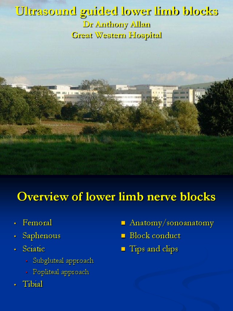Ultrasound Guided Lower Limb Blocks Tony Allen | PDF | Human Leg ...