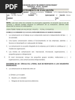 Formato PMC - Diagnostico 2023 - 2024 | PDF | Aprendizaje | Evaluación