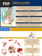 Fisiología de La Defecación | PDF | Recto | Sistema digestivo