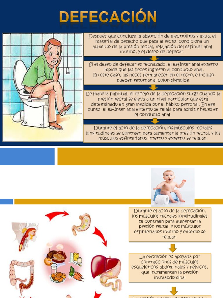 Defecación | PDF