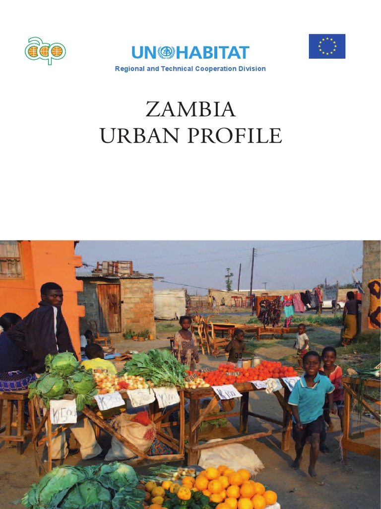 Zambia: National Urban Profile | PDF | Millennium Development Goals | Slum