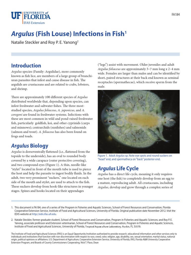 Argulus | PDF | Wellness | Medical