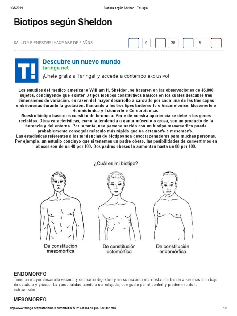 Biotipos Según Sheldon