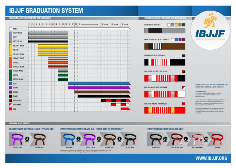 IBJJF Graduation System Poster | PDF
