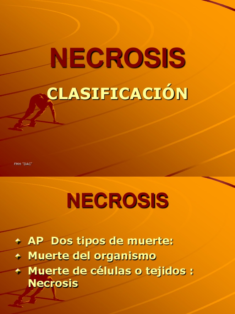 NECROSIS.ppt | Inflamación | Apoptosis
