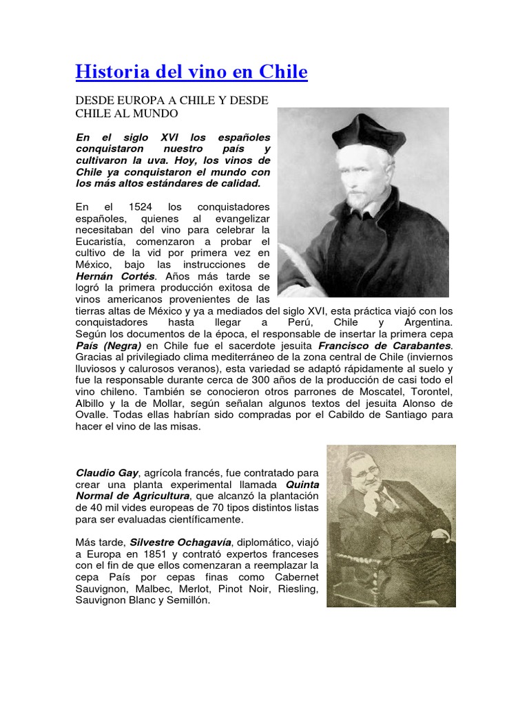 Historia Del Vino en Chile | PDF | Vino | Vitis