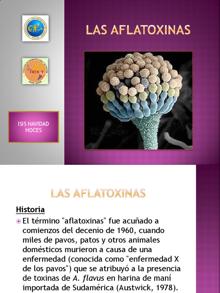 Las Aflatoxinas | PDF | Micotoxinas | Bienestar