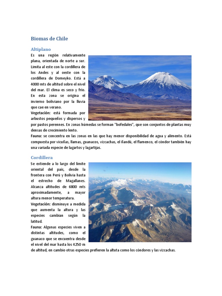 Biomas de Chile y El Mundo | PDF | Desierto | Habitat