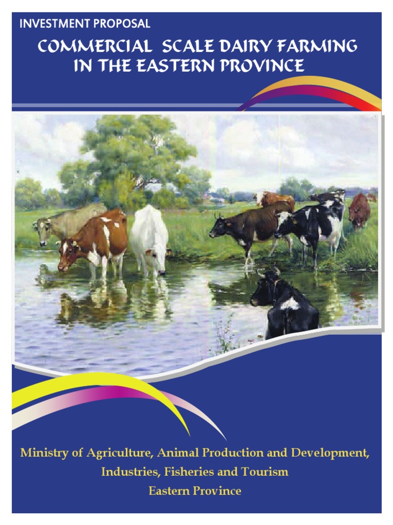 Dairy Investment Proposal | PDF | Dairy | Dairy Cattle