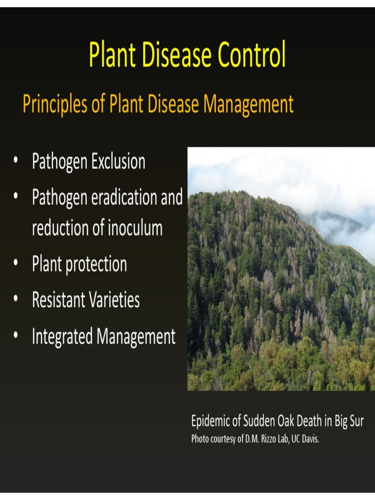 Plant Disease Control | PDF | Plant Pathology | Infection