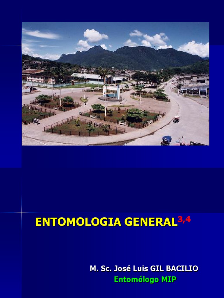 Entomología General 3 Evolución de Los Insectos | PDF | Insectos ...
