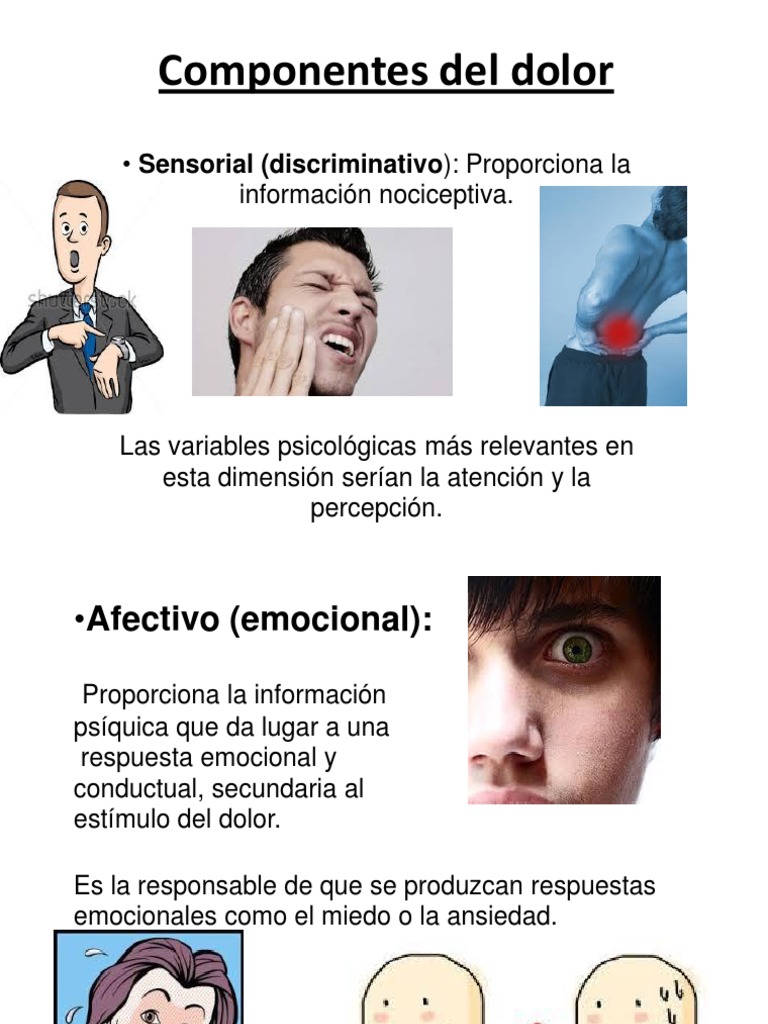 Componentes Del Dolor | PDF | Opioide | Dolor