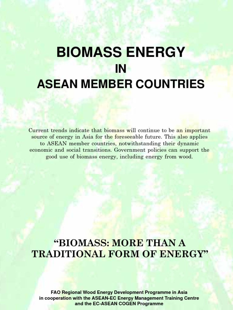 Biomass Energy | PDF