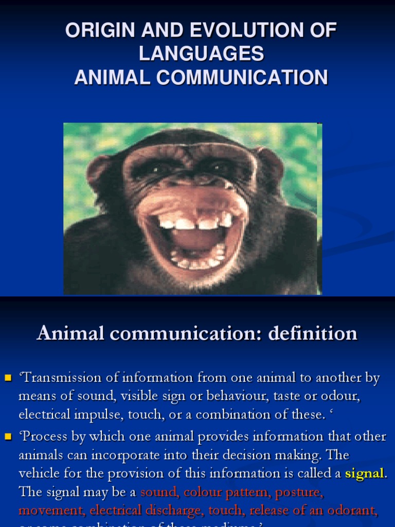 Animal Communication | PDF | Language Acquisition | Linguistics