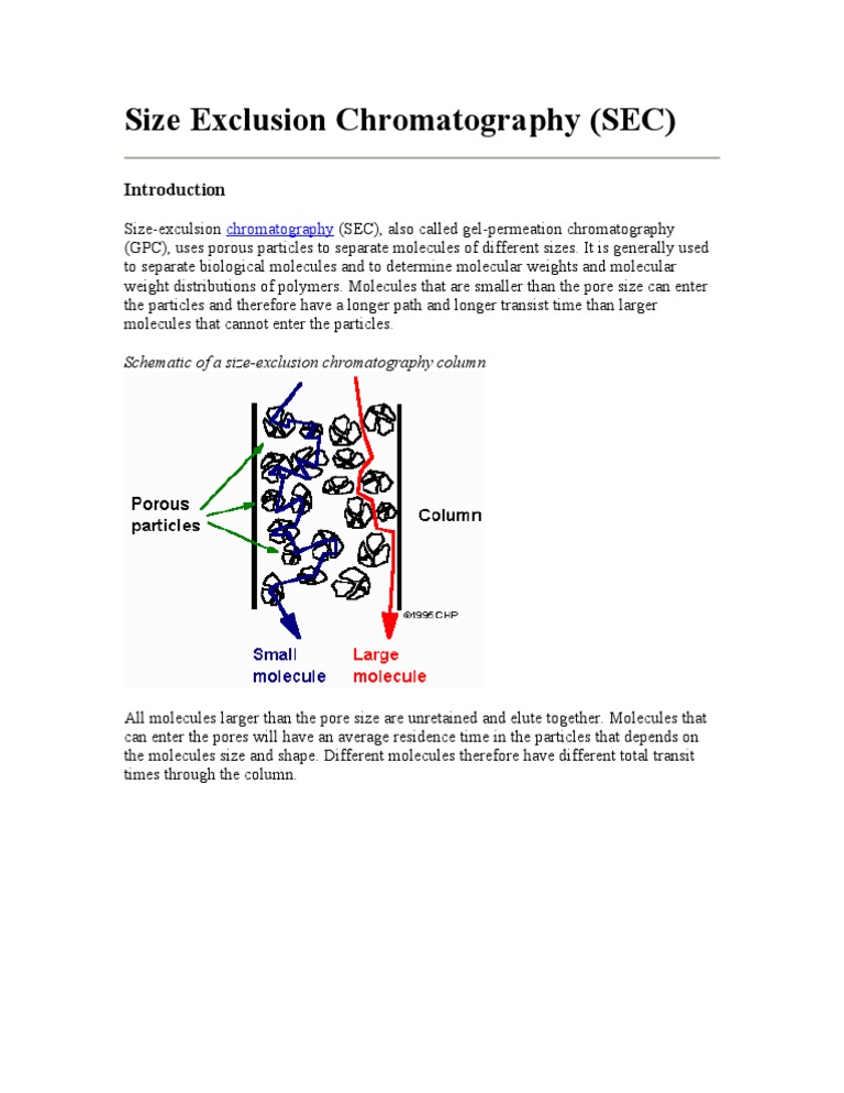 Size Exclusion Chromatography