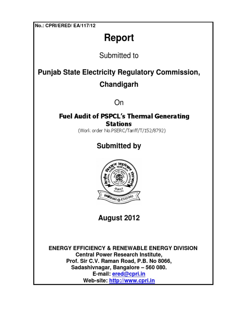 Fuel Audit Full Report | PDF | Coal | Power Station