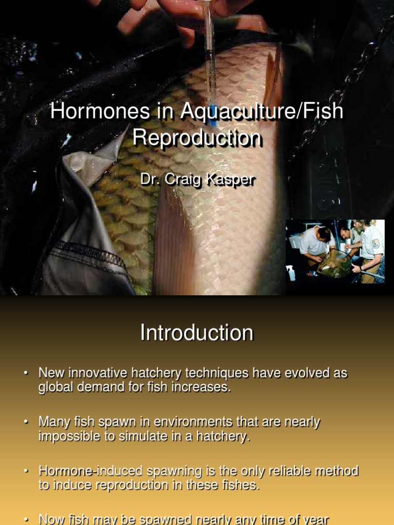 Hormones in Aquaculture Fish Reproduction | Spawn (Biology) | Fish