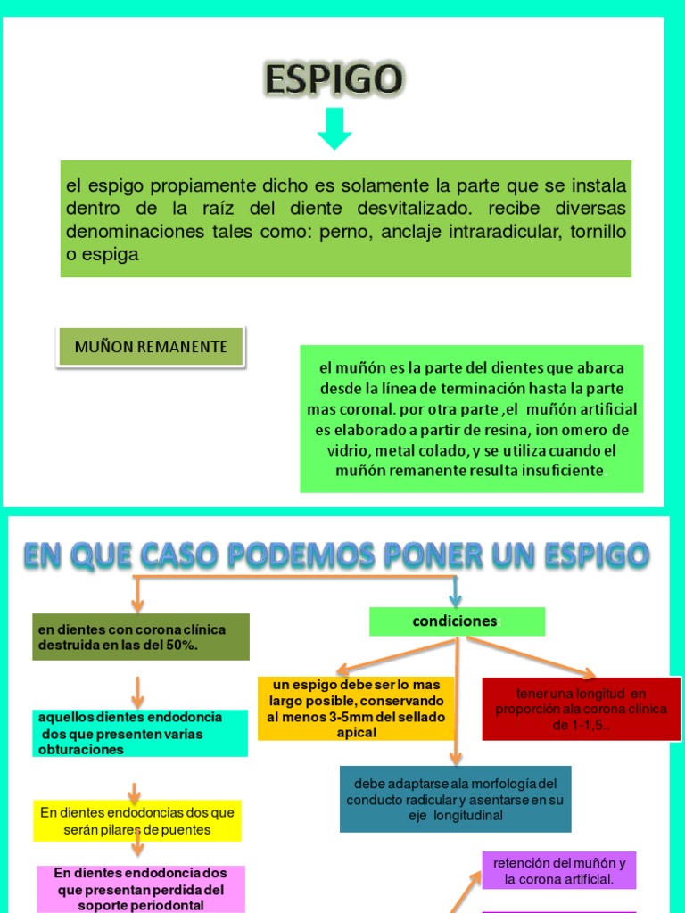 Exposiicon de Espigos | PDF