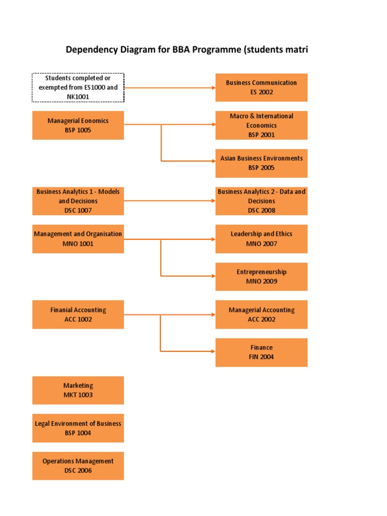 Nus Bba Requirement | PDF | Master Of Business Administration | Thesis