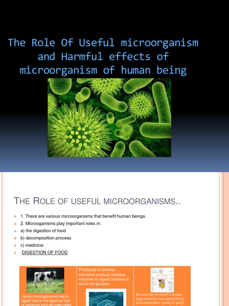 The Role of Useful Microorganism and Harmful Effects | Microorganism ...