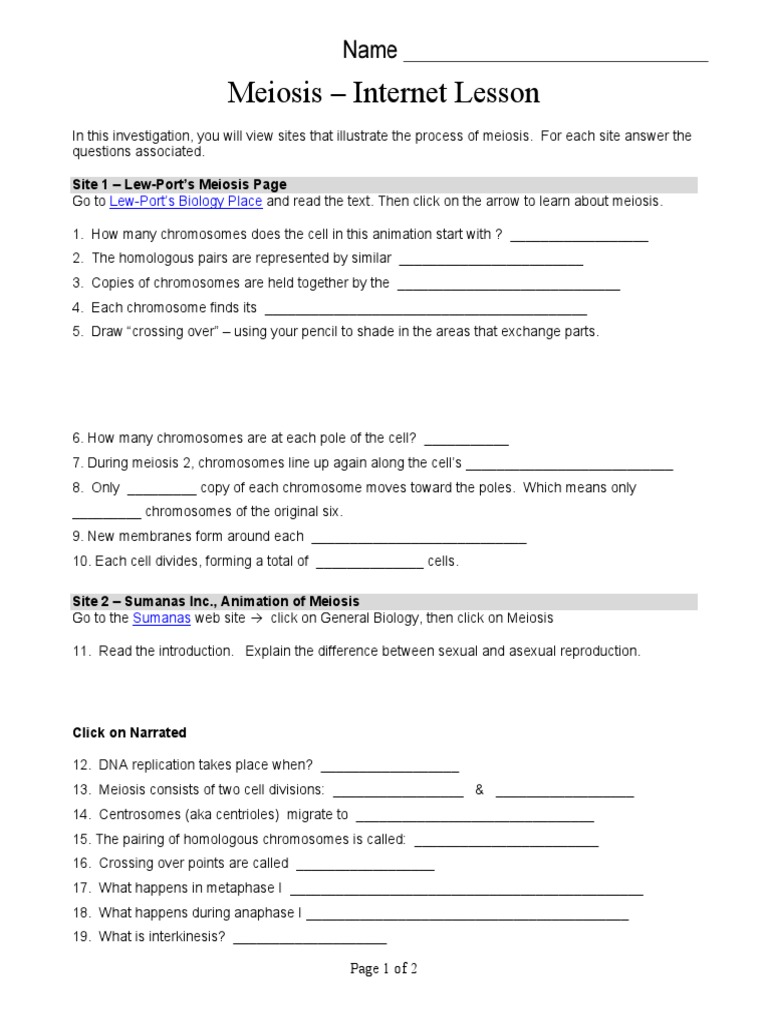 Meiosis Webquest | PDF | Meiosis | Mitosis