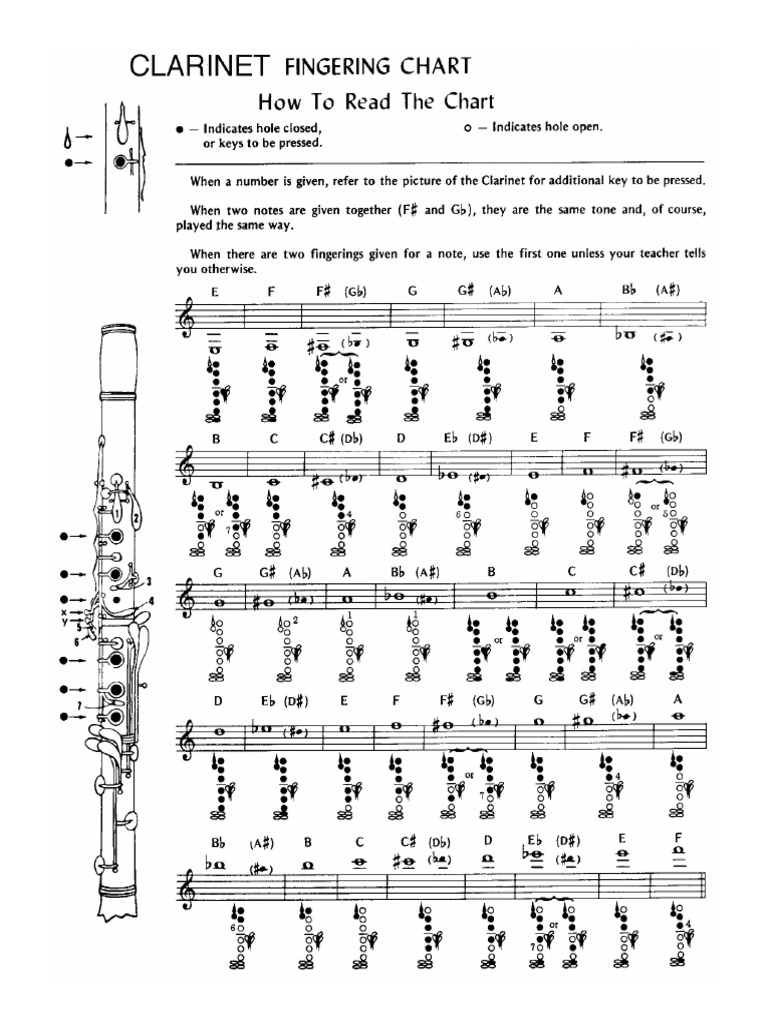 Clarinet Fingering Chart | PDF