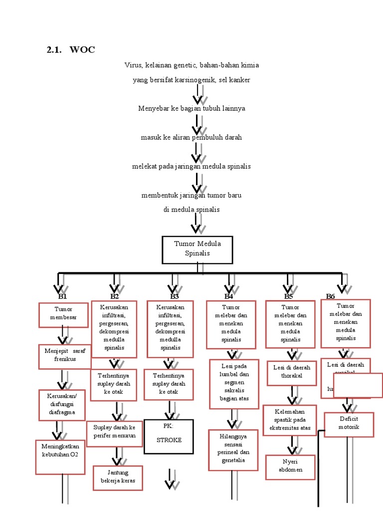 Woc Tumor Medspin | PDF