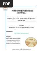 Diferencias Entre Coníferas y Latifoliadas | PDF | Arboles | Hoja