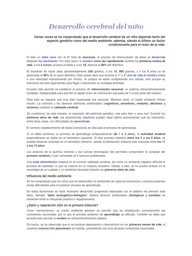 Desarrollo Cerebral Del Niño | PDF | Cerebro | Neurona