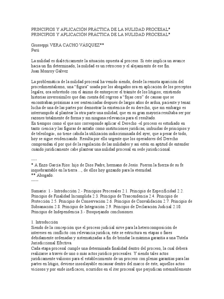 Principios y Aplicación Práctica de La Nulidad Procesal | PDF | Ley ...